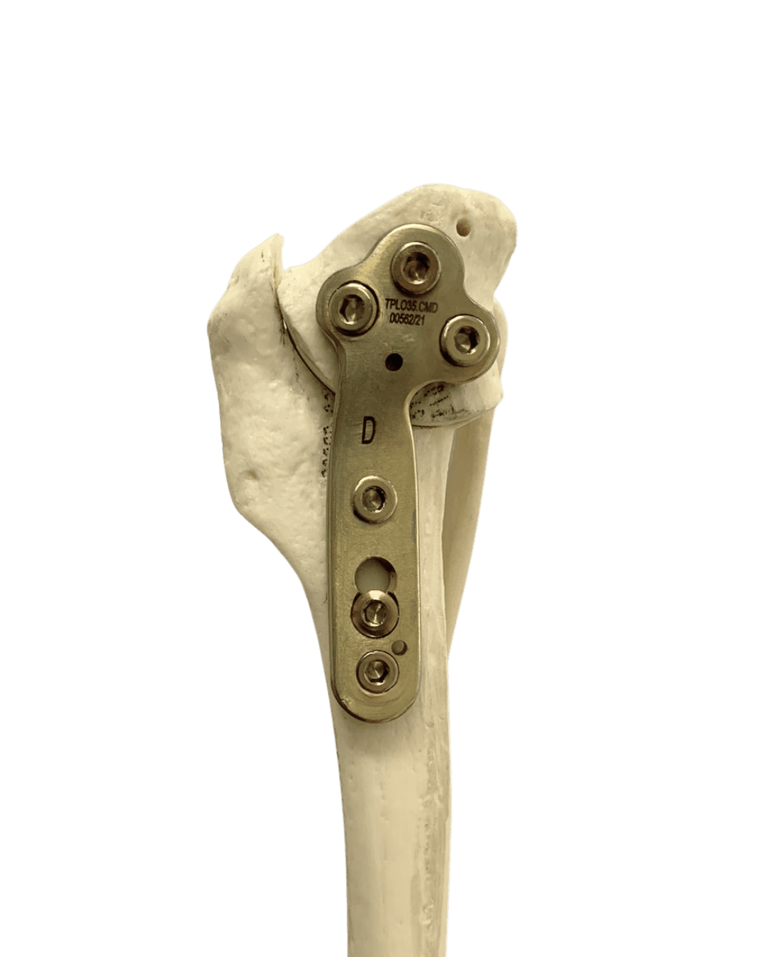 Sistema TPLO | Lincevet